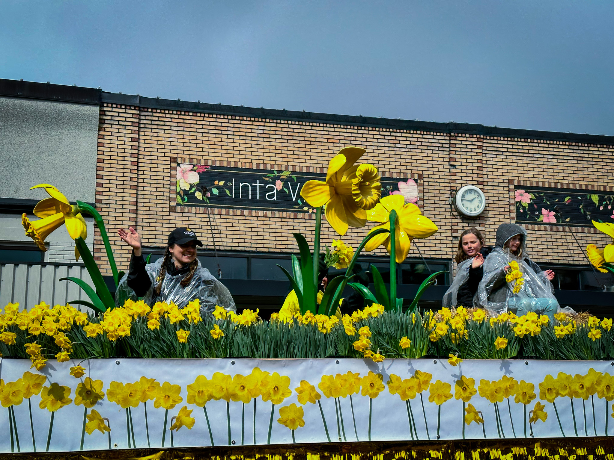 Daffodil Parade Photos 2023 – Sumner, Washington
